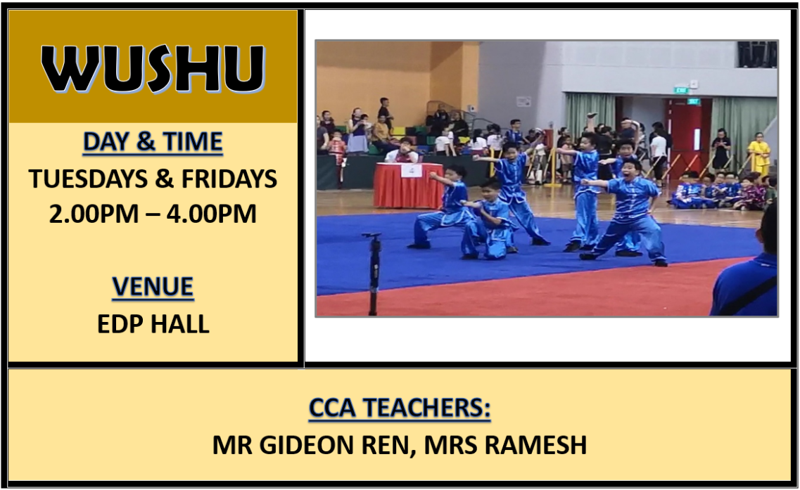 Co Curricular Activities